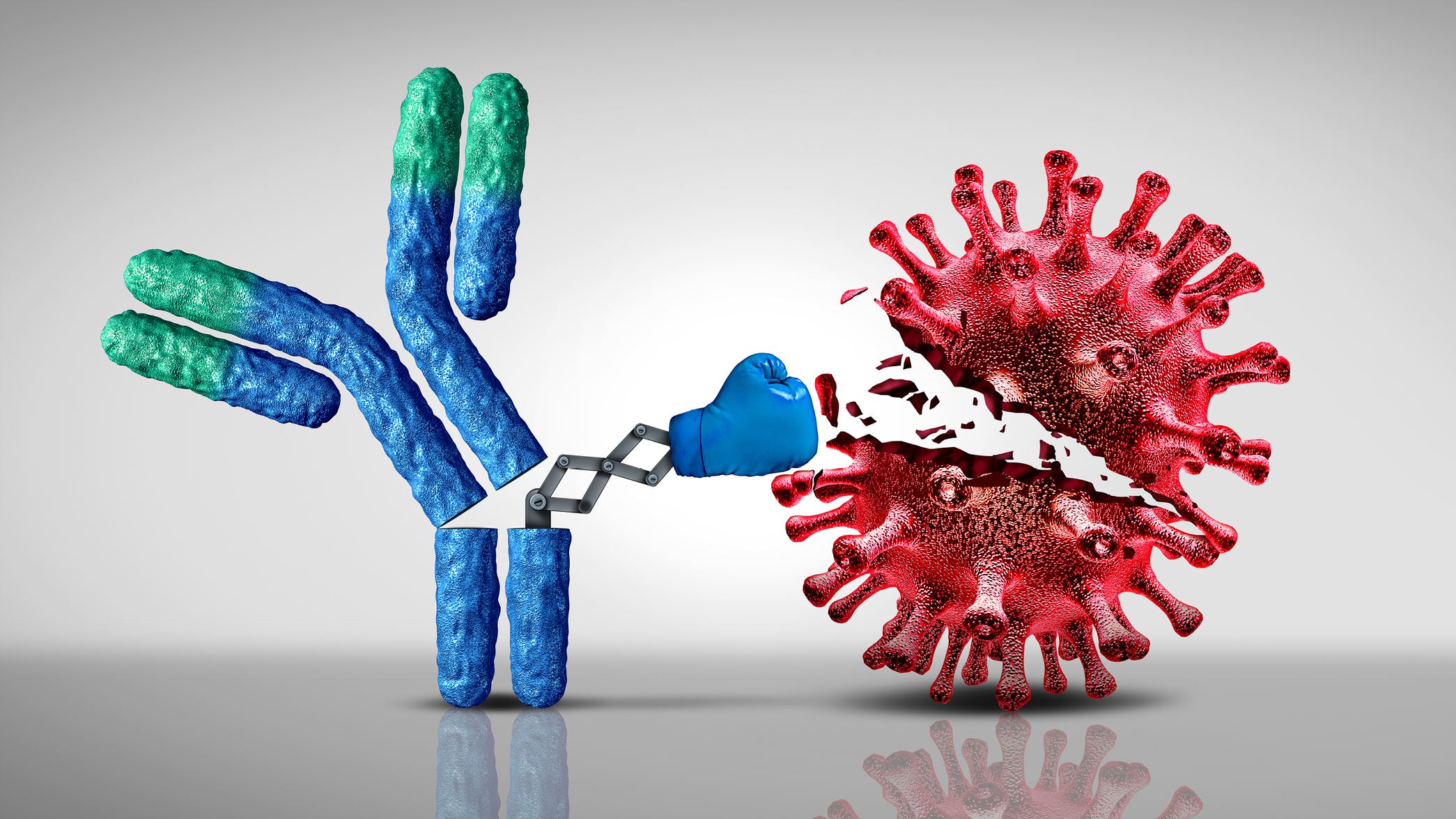 Was sind Antikörper? Was sind Antigene? Das bewirken sie, einfach ...